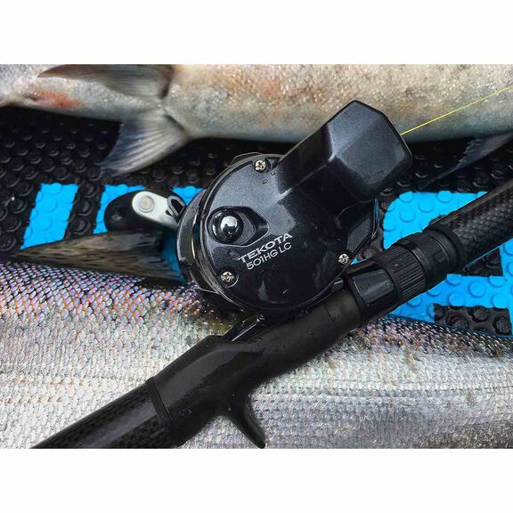 SHIMANO Tekota 501A Left-Hand Conventional Reel with Line Counter, 38 ...