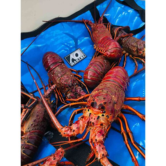 AO COOLERS 4' Insulated Kill Bag