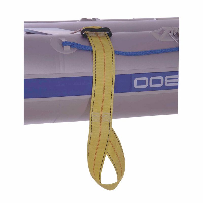 C-LEVEL SeaSteps One-Step Webbing Ladder | West Marine