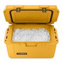 DOMETIC 35 qt. Patrol Cooler
