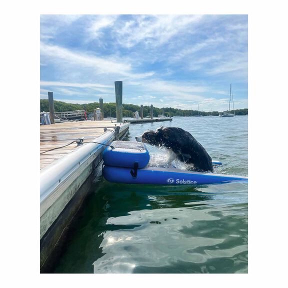 WEST MARINE Pup Plank Boost Kit Inflatable Dog Ramp