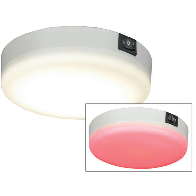 WEST MARINE Economy LED Dome Light | West Marine