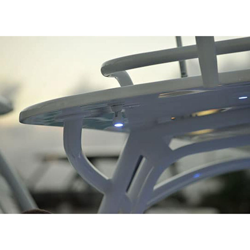 LUMITEC LIGHTING GAI2 LED Positionable Light with Heavy-Duty Base ...