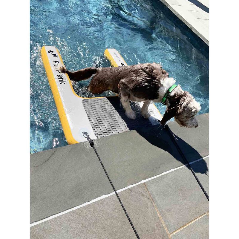 SOLSTICE Inflatable Pup Plank, XL | West Marine