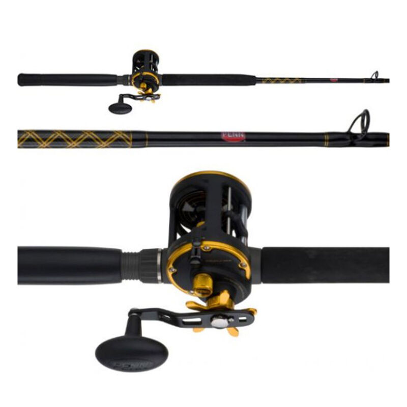 PENN 6' Squall 20LW2030C60 Level Wind Conventional Combo | West Marine