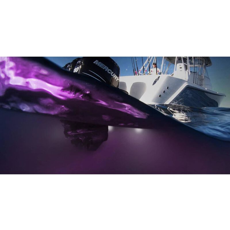 LUMITEC LIGHTING SeaBlaze Quattro LED Underwater Light, 2,000 Lumen ...