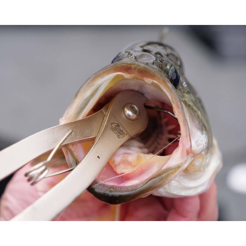 CUDA 10 1/2" Hook Cutter | West Marine