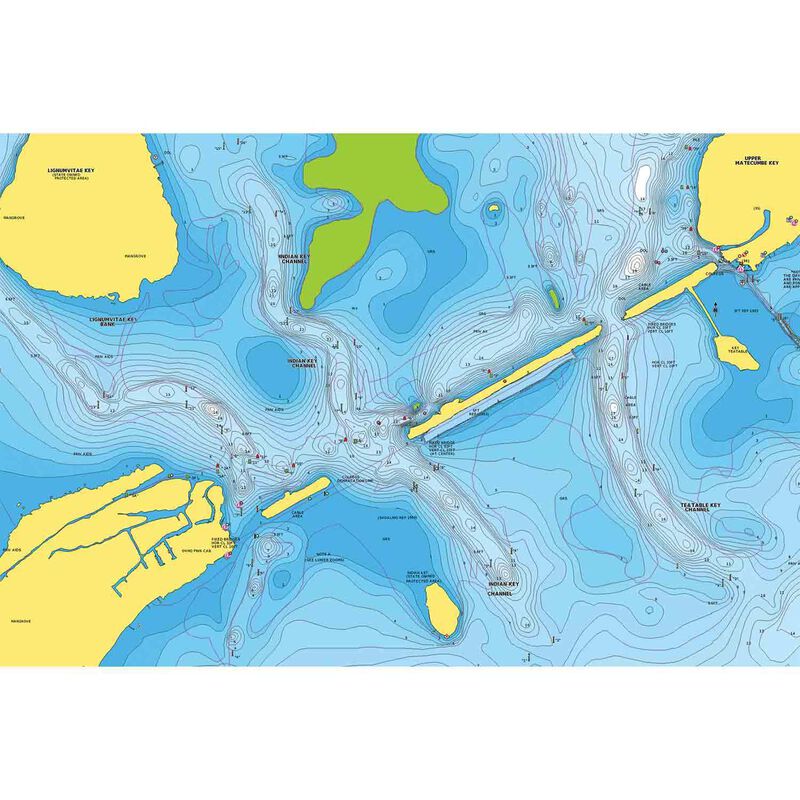 NAVIONICS MSD/NAV+NI Coastal and Inland Chart for U.S. and Canada ...