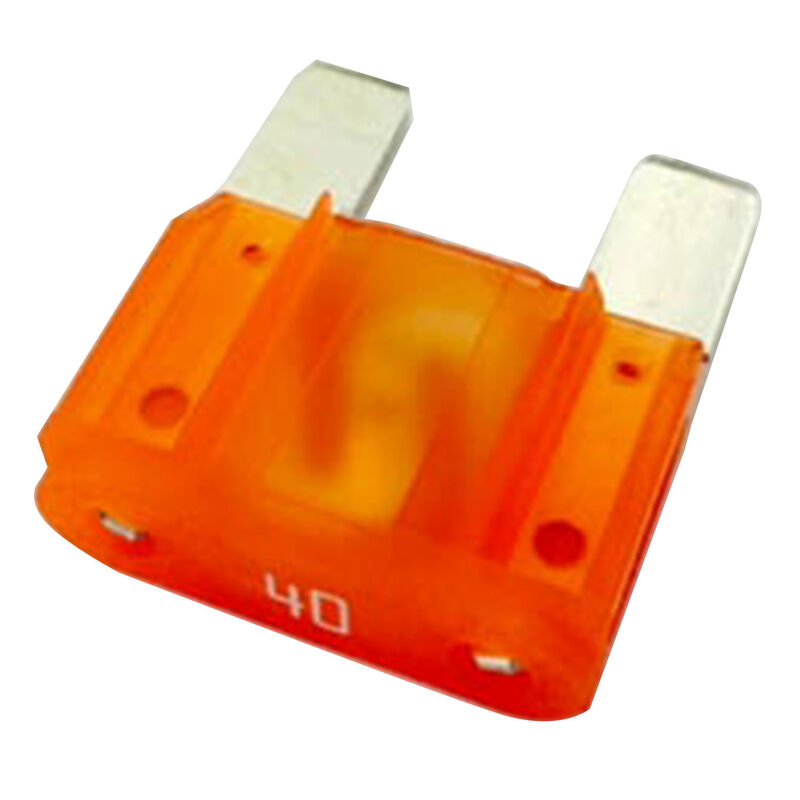 COLE HERSEE 40A MAXI Blade Fuse | West Marine