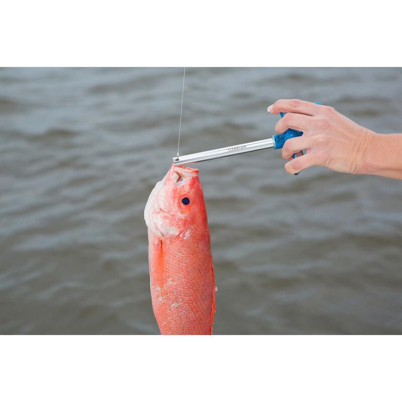 CUDA 8 1/2" Titanium Bonded Dehooker | West Marine