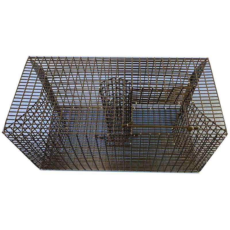 SPORTFISHING PRODUCTS 22" x 12" x 11.5" Pinfish Bait Trap | West Marine