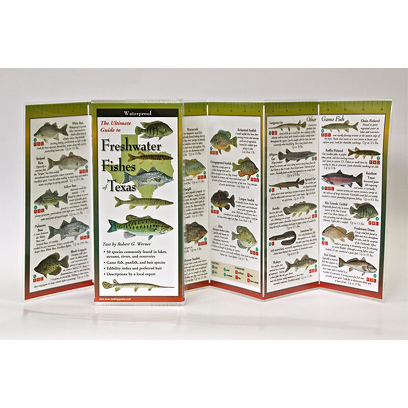 Freshwater Fishes of Texas | West Marine