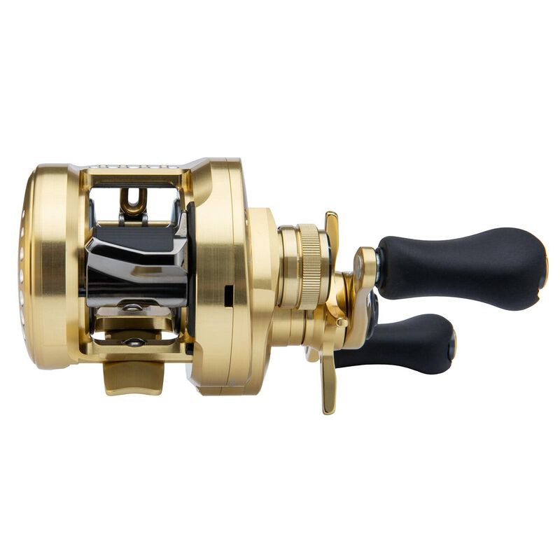 SHIMANO Calcutta Conquest 200A Baitcasting Reel | West Marine