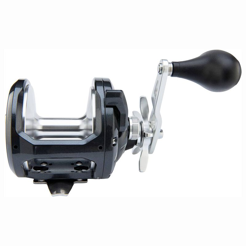 SHIMANO Torium TOR30HGA Star Drag Conventional Reel, 46" Line Speed ...