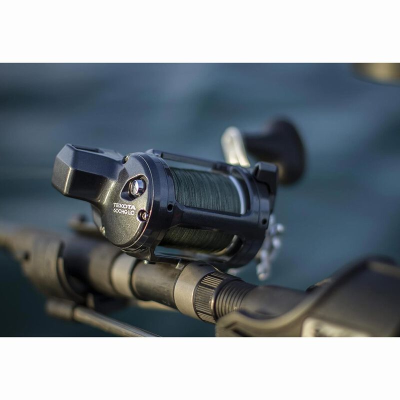 SHIMANO Tekota 501A Left-Hand Conventional Reel with Line Counter, 38 ...