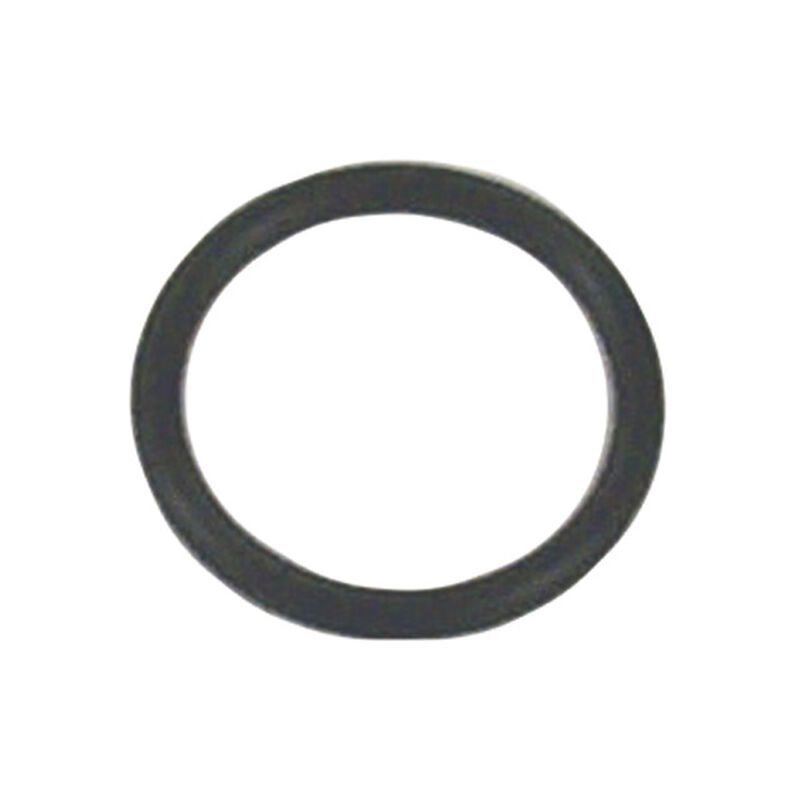 SIERRA 18-7153 Replacement O-Rings, 5-Pack | West Marine