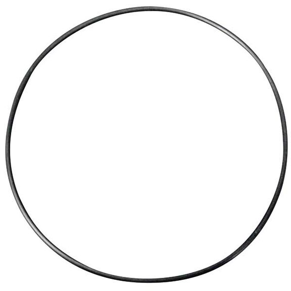 RARITAN Seal-Plate O-ring