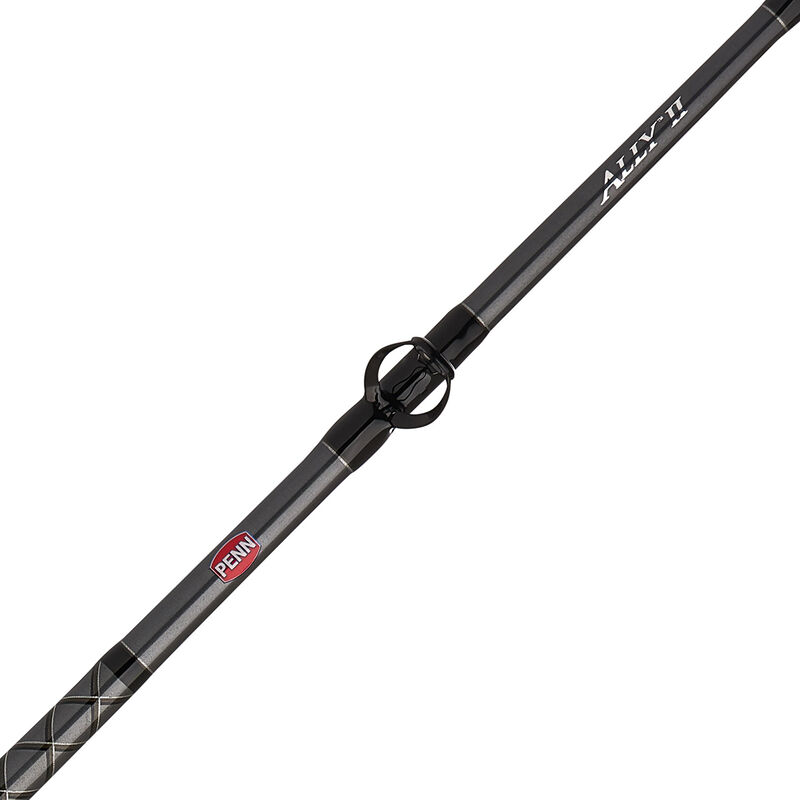 PENN 7' Ally II White Marlin Boat Conventional Rod, Medium Power | West ...
