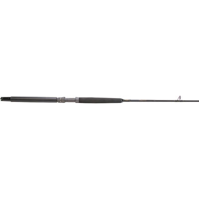 BILLFISHER 6'6" Conventional Rod, Medium/Heavy Power | West Marine