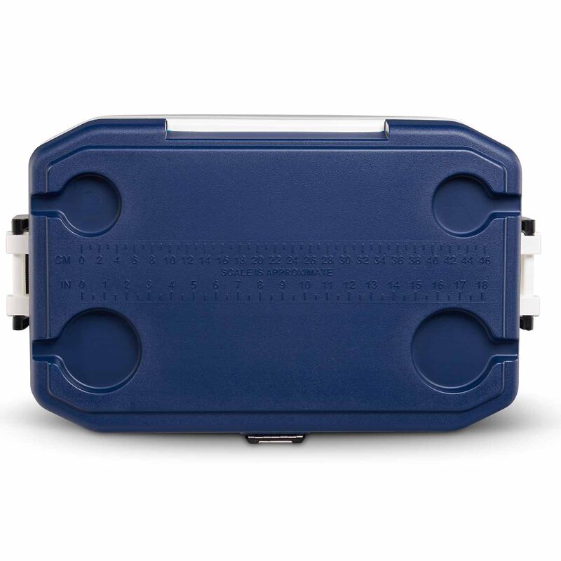 IGLOO 54 qt. Latitude Maxcold Cooler | West Marine