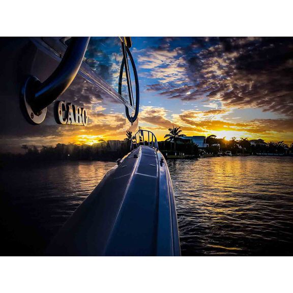 REJEX RejeX, 1 Gallon