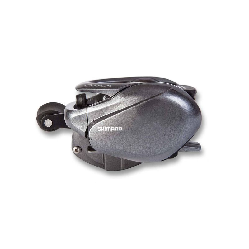SHIMANO Citica Low Profile Baitcasting Reels | West Marine