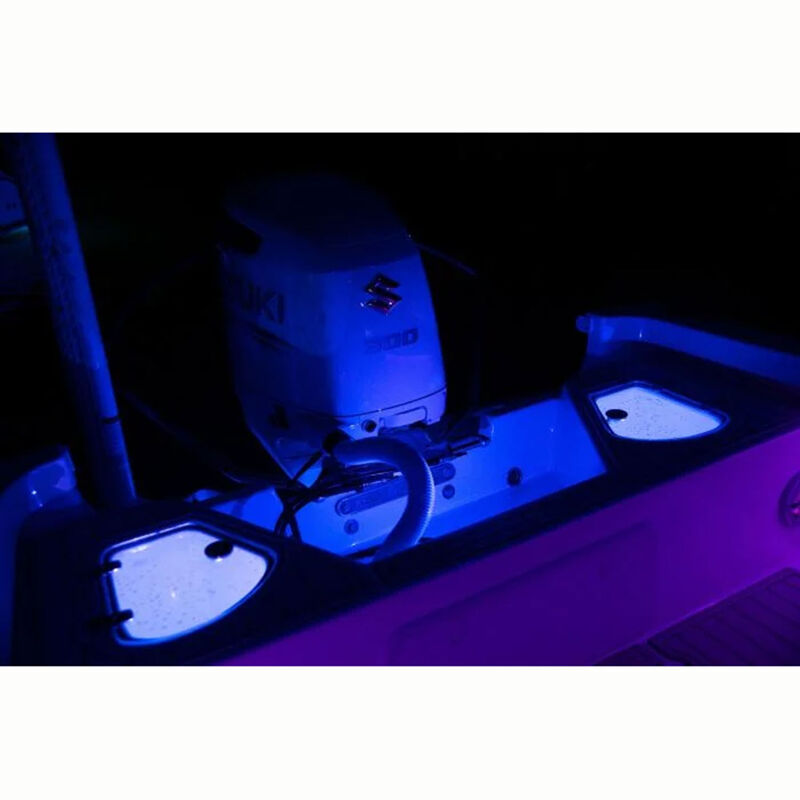 LUMITEC LIGHTING Lutra LED Livewell Light, 340 Lumen, Full-Color ...