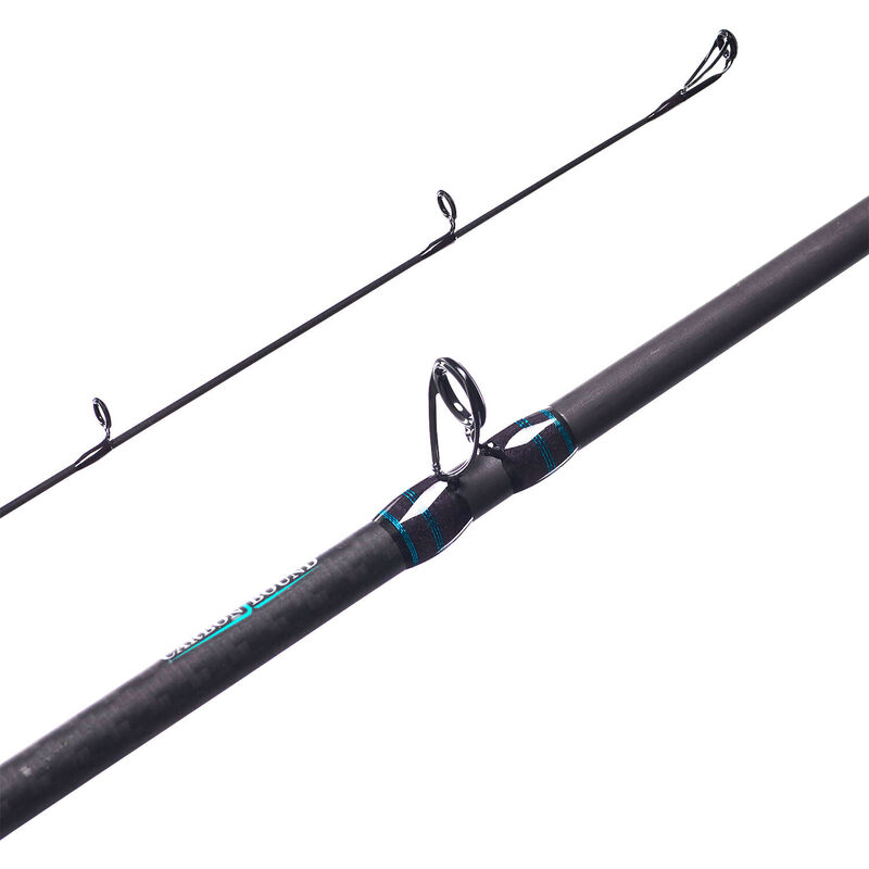 Baitcasting Rod
