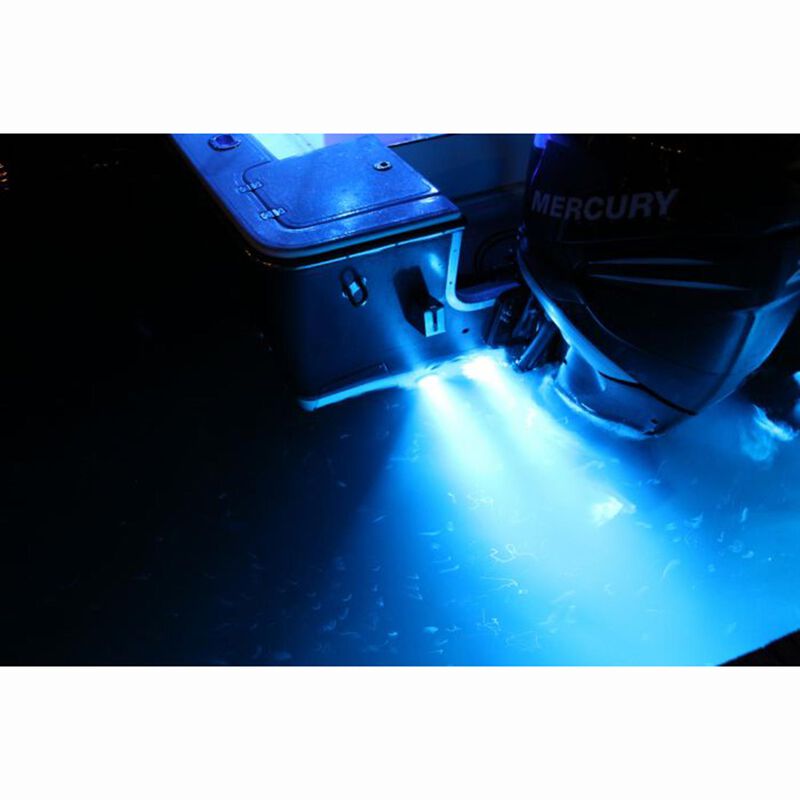 LUMITEC LIGHTING SeaBlaze Mini LED Underwater Light, 890 Lumen, White ...
