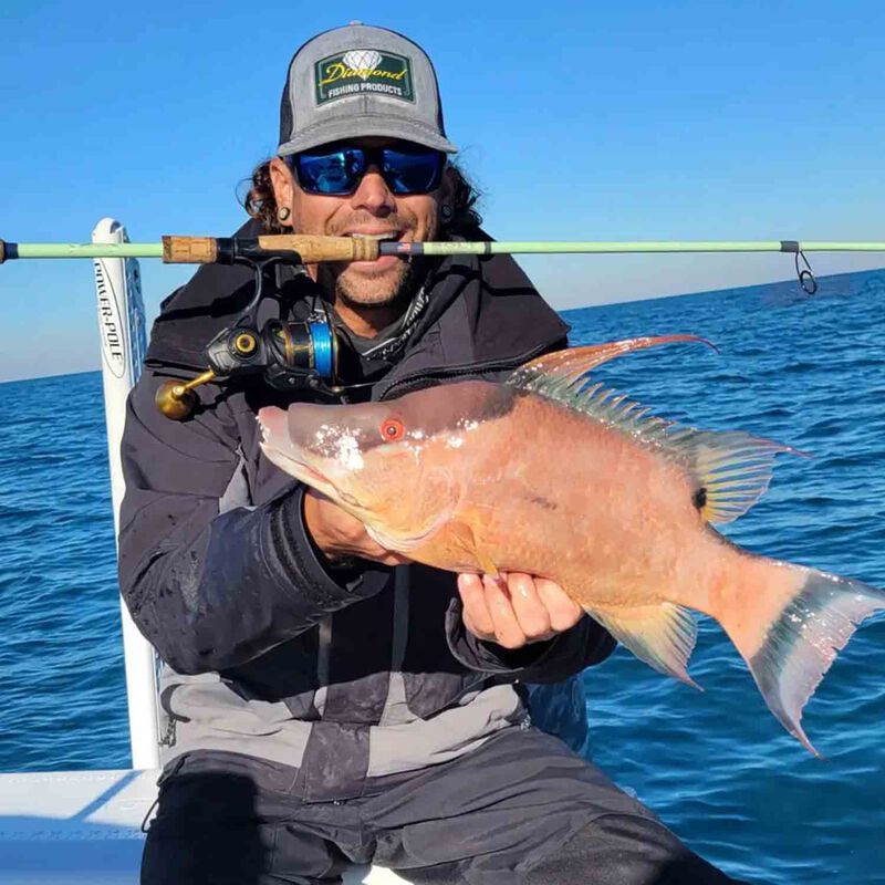 BULL BAY RODS 7'6" Bolt Spinning Rod, Medium Power | West Marine