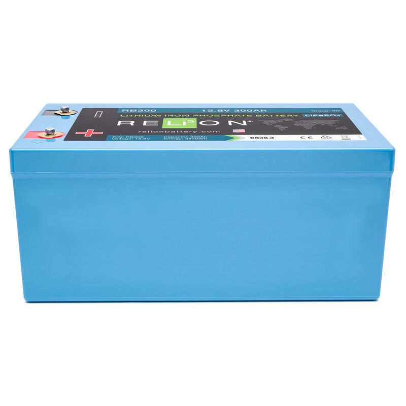 RELION Group 8D RB300 Lithium Iron Phosphate Deep Cycle Battery, 12V ...