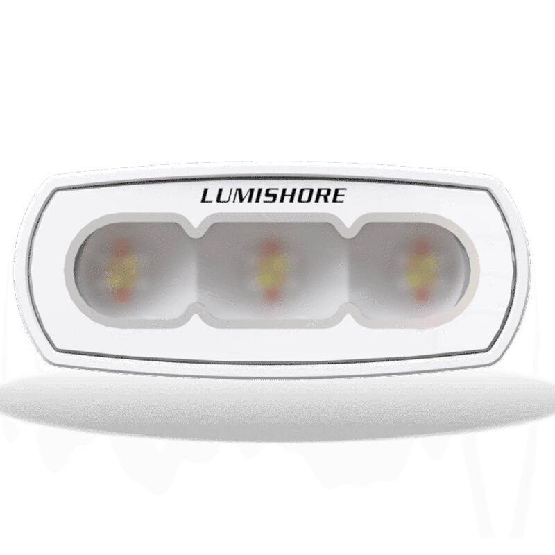LUMISHORE Lumishore 4" Eclipse LED Floodlight, 1,500 Lumen, White ...
