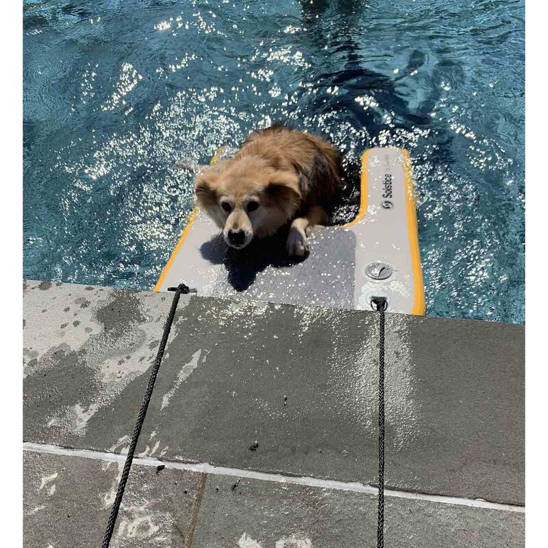 Solstice Inflatable Pup Plank | West Marine