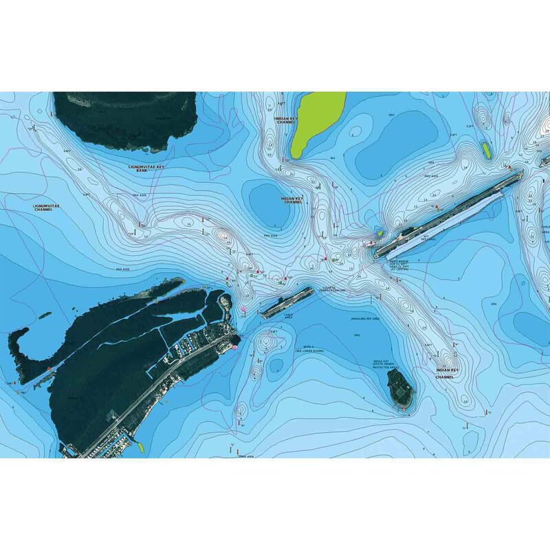 NAVIONICS MSD/HMPT-S6 South U.S. Hotmaps Platinum microSD Card | West ...