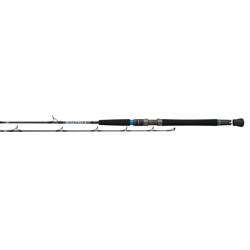 DAIWA 6'6" Saltiga Jigging Conventional Rod, Heavy Power | West Marine