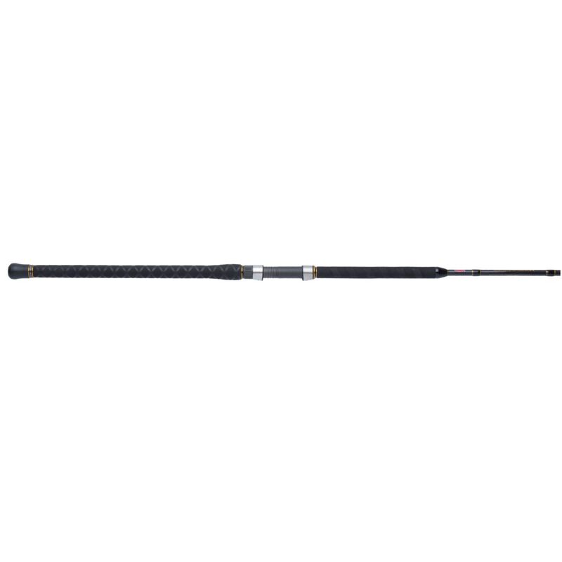 PENN 10' Carnage™ II Surf Spinning Rod, Medium/Heavy Power | West Marine
