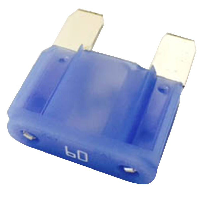 COLE HERSEE 60A MAXI Blade Fuse | West Marine