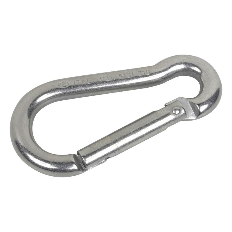 WEST MARINE 5" Genius Carabiner, 1124lb. SWL | West Marine