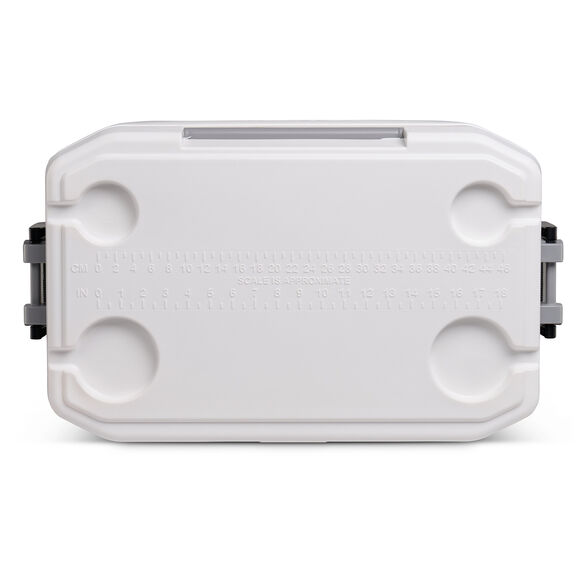 IGLOO 54 qt. Marine Ultra Cooler