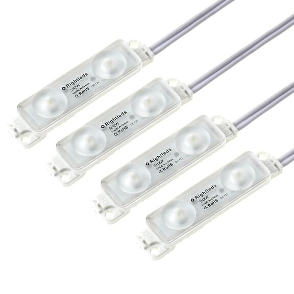 SEAVOLT Two LED Module Light, Dual Mount, White, 4-Pack