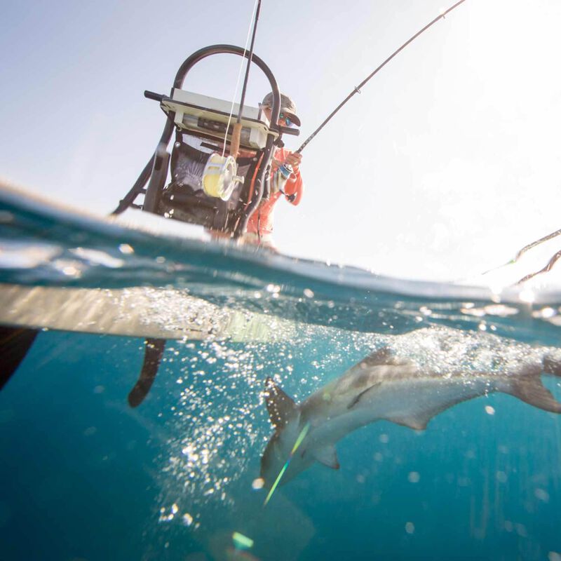 BOTE Tackle Rac for BOTE Stand-Up Paddleboards | West Marine