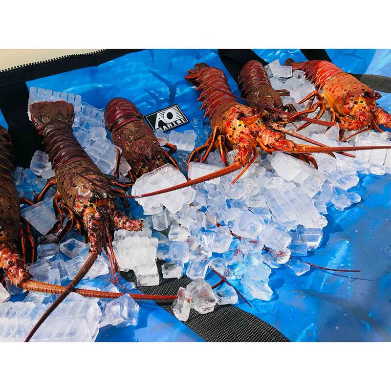 AO COOLERS 4' Insulated Kill Bag | West Marine