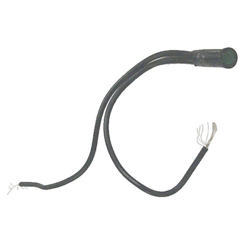 SIERRA Small Indicator Light, 12V, Green | West Marine