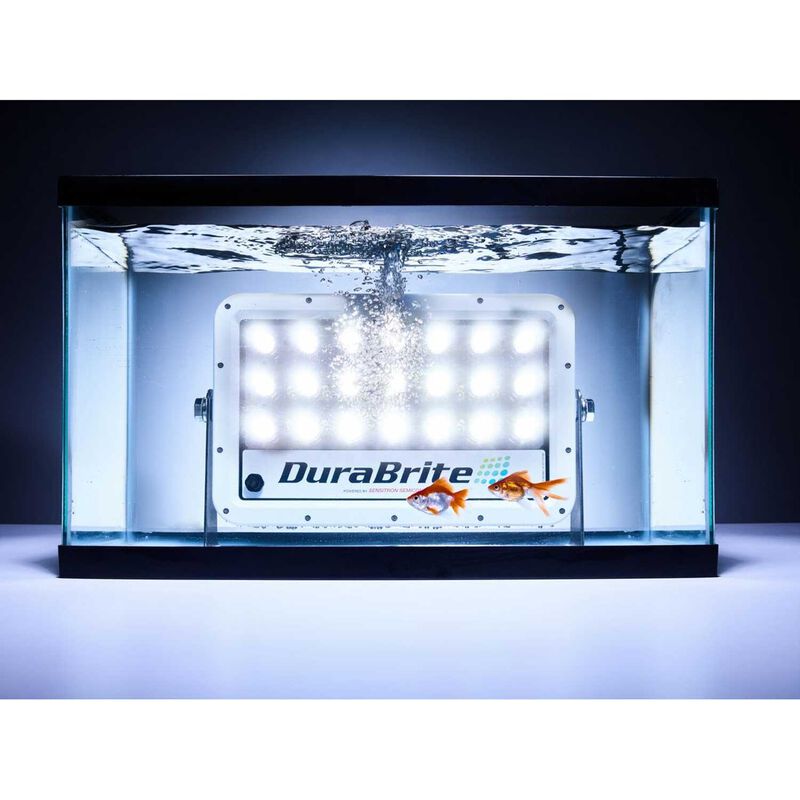 DURABRITE Mini Series Spotlight, White Housing | West Marine