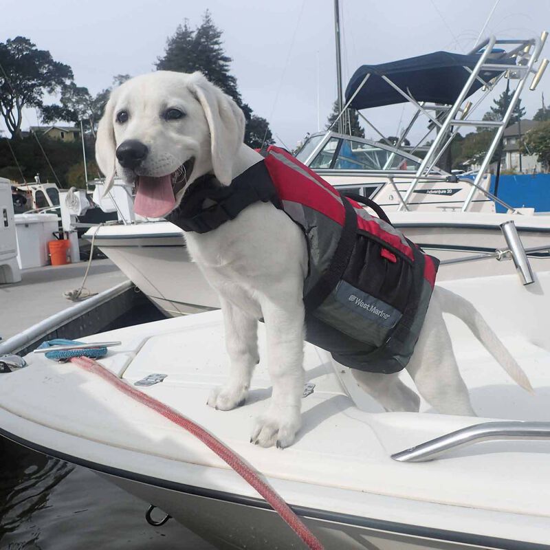 Advanced Pet Life Jacket, X-Large | West Marine