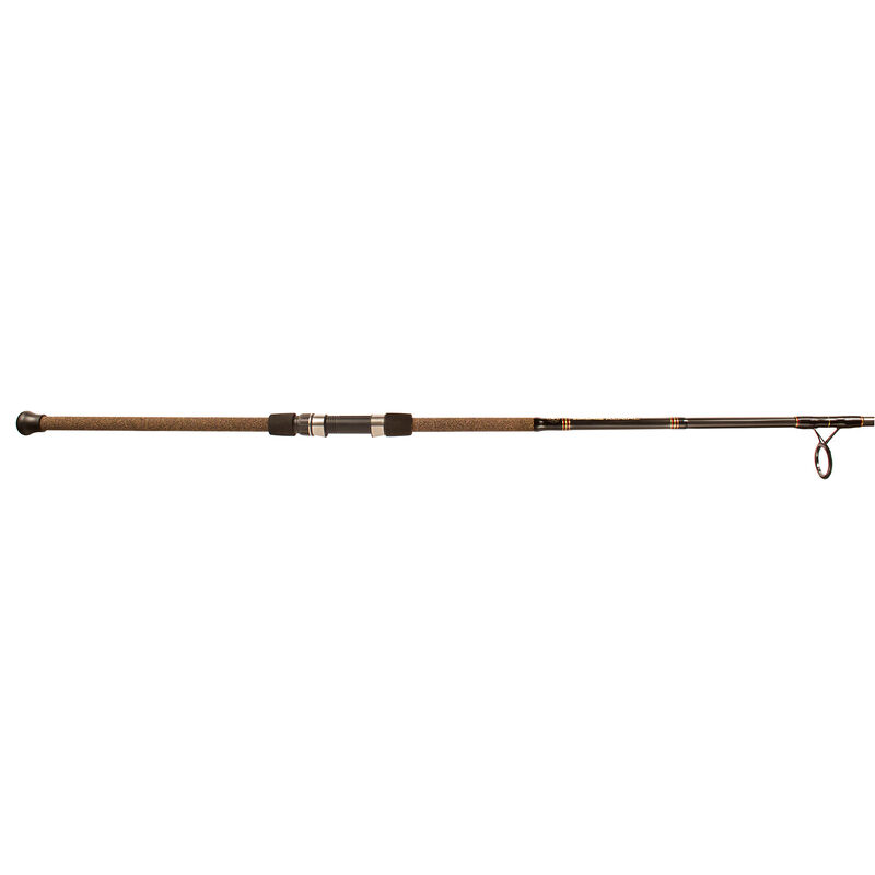 STAR RODS Aerial Surf Spinning Rods | West Marine