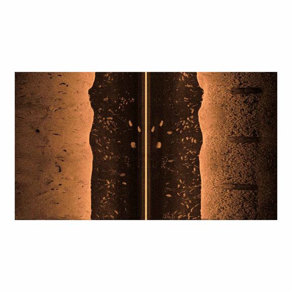 Garmin GCV20 UHD ScanSonar Black Box – ClearVU & SideVU