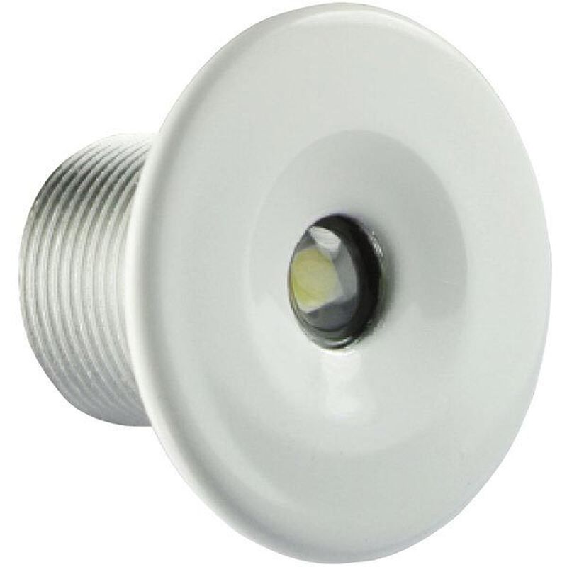 Echo Courtesy/Accent LED Lights | West Marine