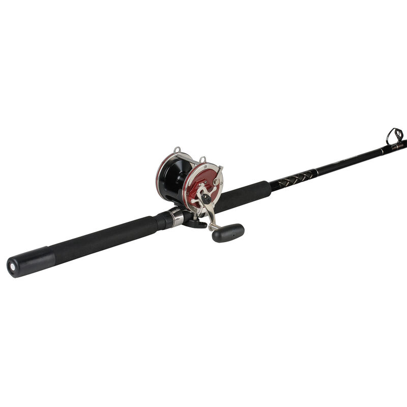 PENN 6'6" Special Senator Conventional Saltwater Combo, Medium Heavy ...