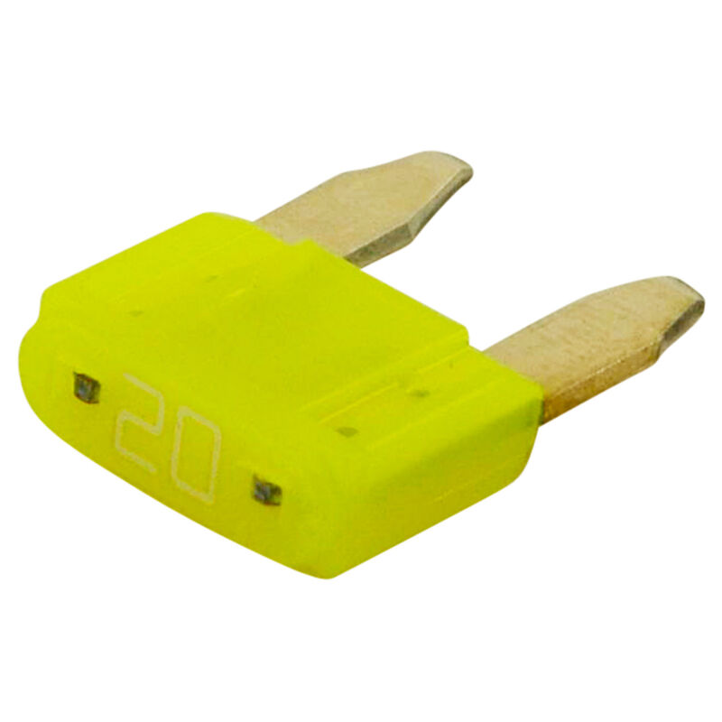 COLE HERSEE 20A MINI Blade Fuses, 5-Pack | West Marine